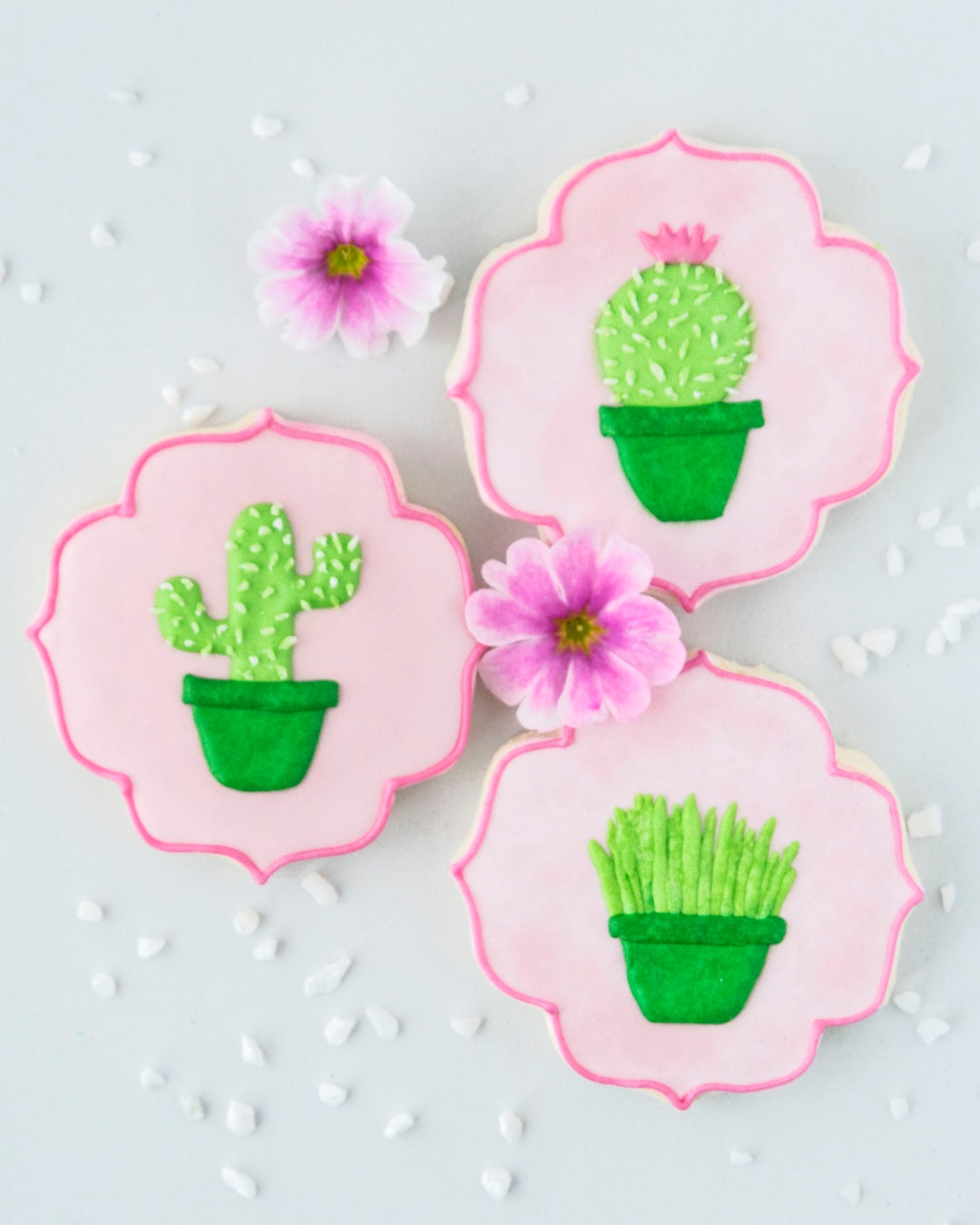 Cute Cactus Decorated Cookies Dairy-free Gluten-free - Etsy