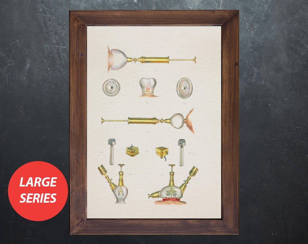 Anatomy Art CUPPING THERAPY SUCTION Medical Medical Student Gift ...