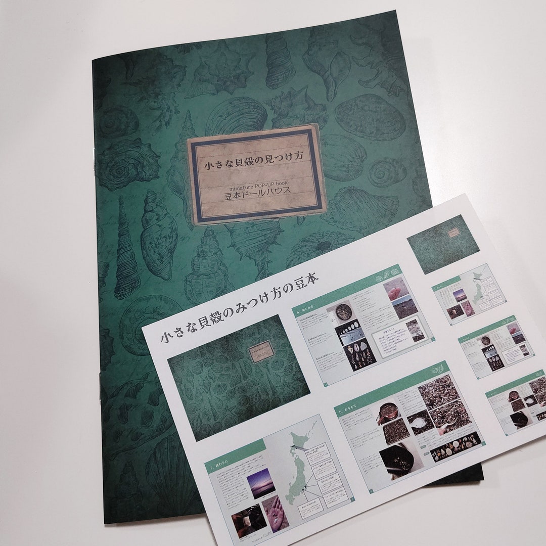 How to Find Small Shells - Etsy