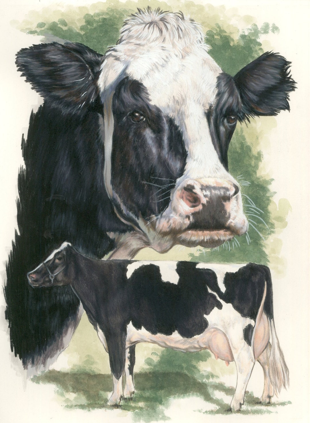 Holstein Cow Cattle Counted Cross Stitch Pattern Digital PDF - Etsy