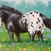 Appaloosa Horse Appy Counted Cross Stitch Pattern PDF - Etsy