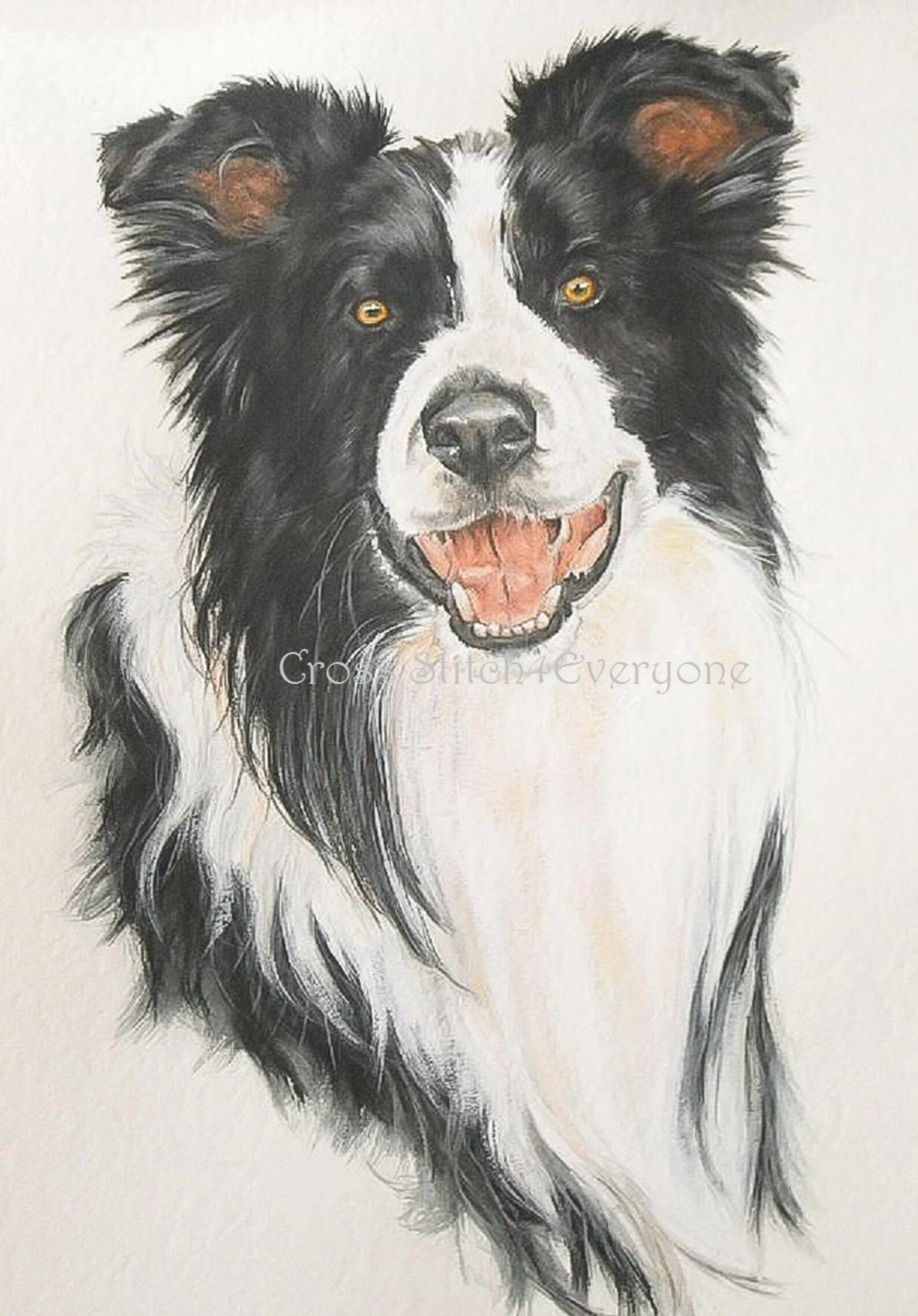 Border Collie Dog Counted Cross Stitch Pattern PDF - Etsy