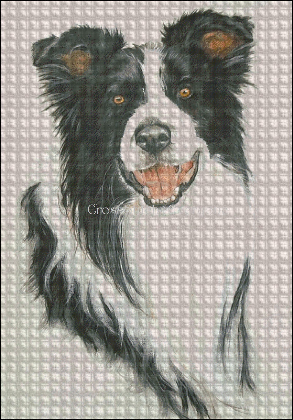 Border Collie Dog Counted Cross Stitch Pattern PDF - Etsy