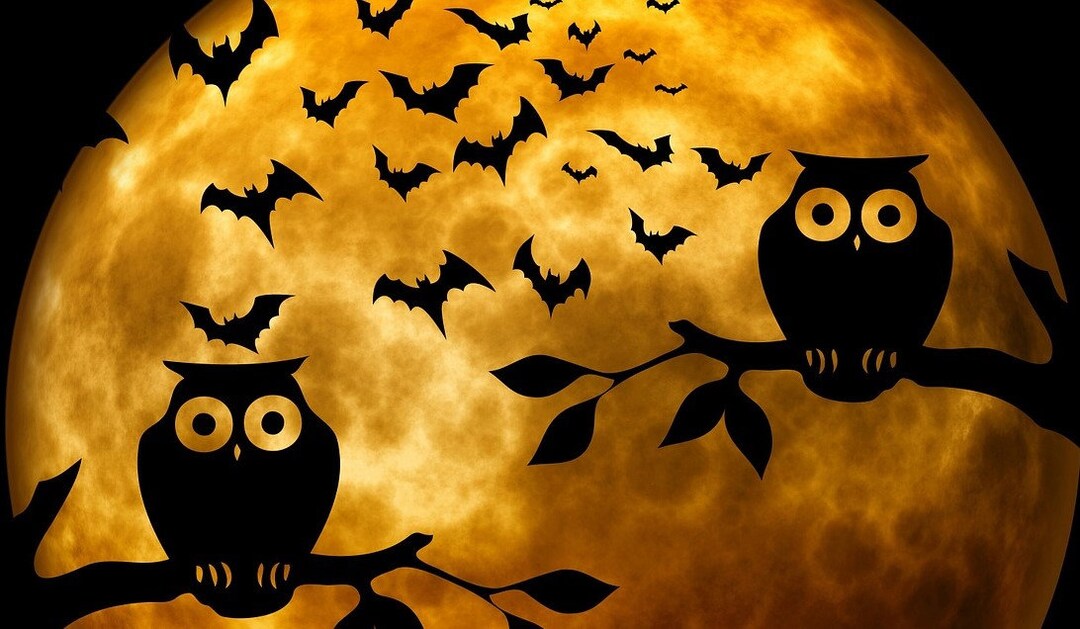 Full Moon With Owls and Bats Halloween Counted Cross Stitch Pattern - Etsy