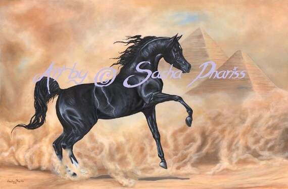 Black Arabian horse egyptian pyramids sand desert counted | Etsy