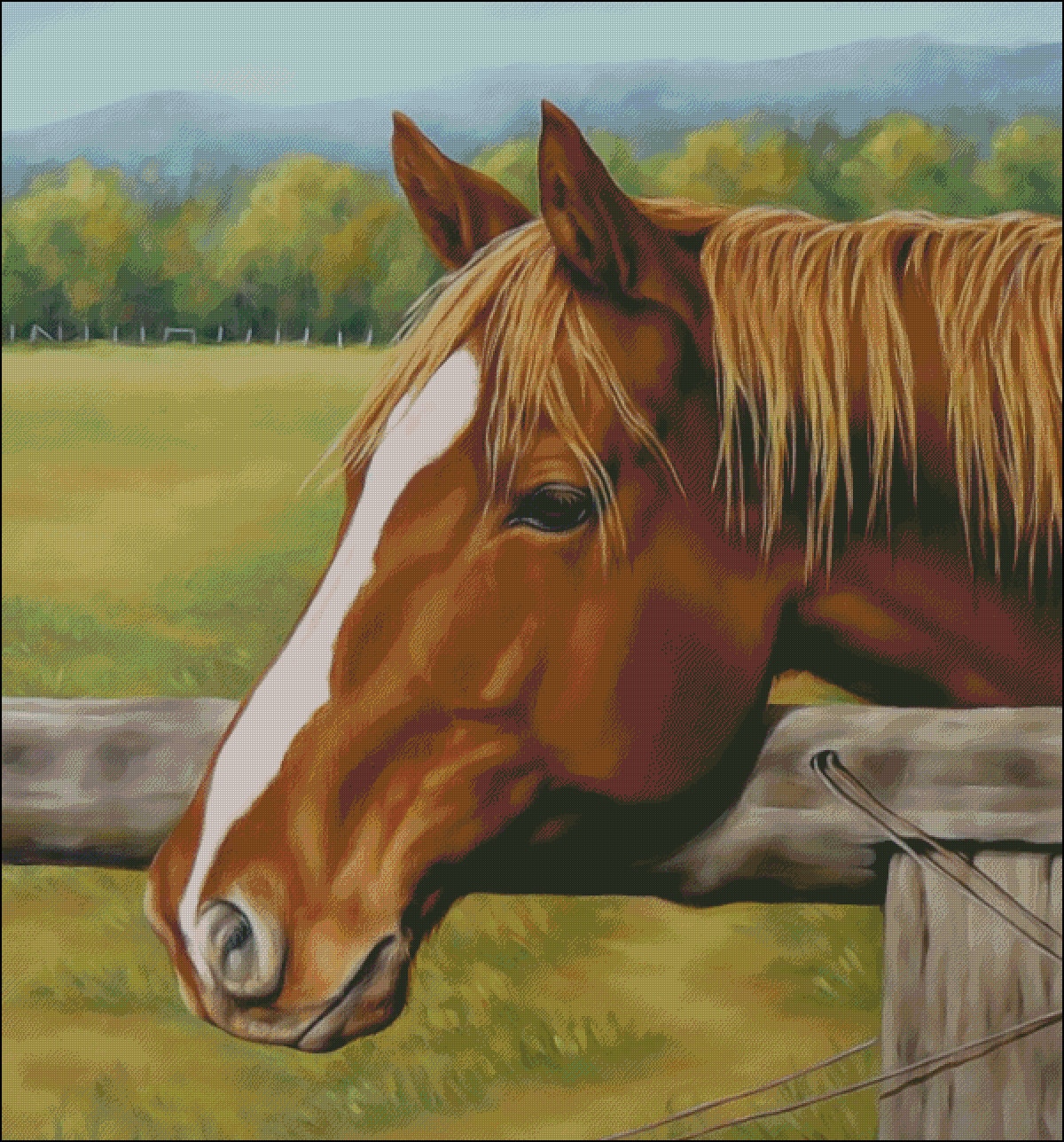 Sorrel Quarter Horse With Blaze