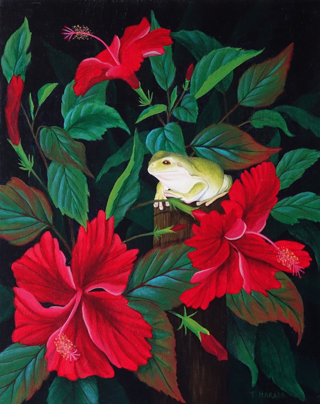 Green Tree Frog on Hibiscus Flower Counted Cross Stitch Pattern Pdf - Etsy