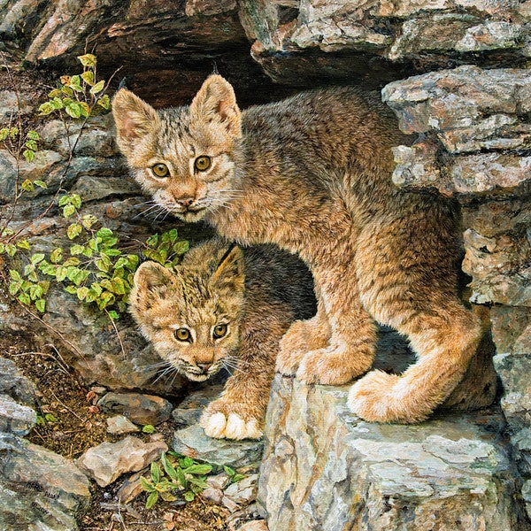 Bobcat Pattern - Etsy