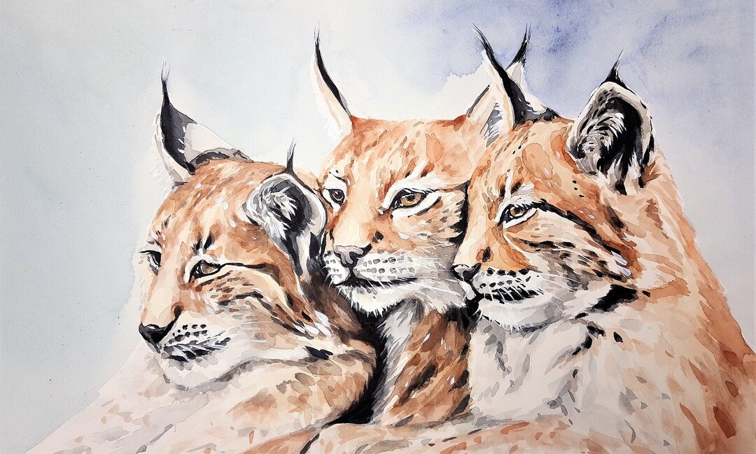 Lynx Cats Wildlife Counted Cross Stitch Pattern - Etsy