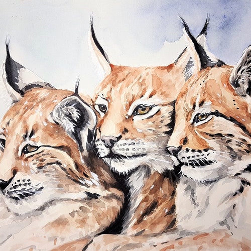 Lynx Cats Wildlife Counted Cross Stitch Pattern - Etsy