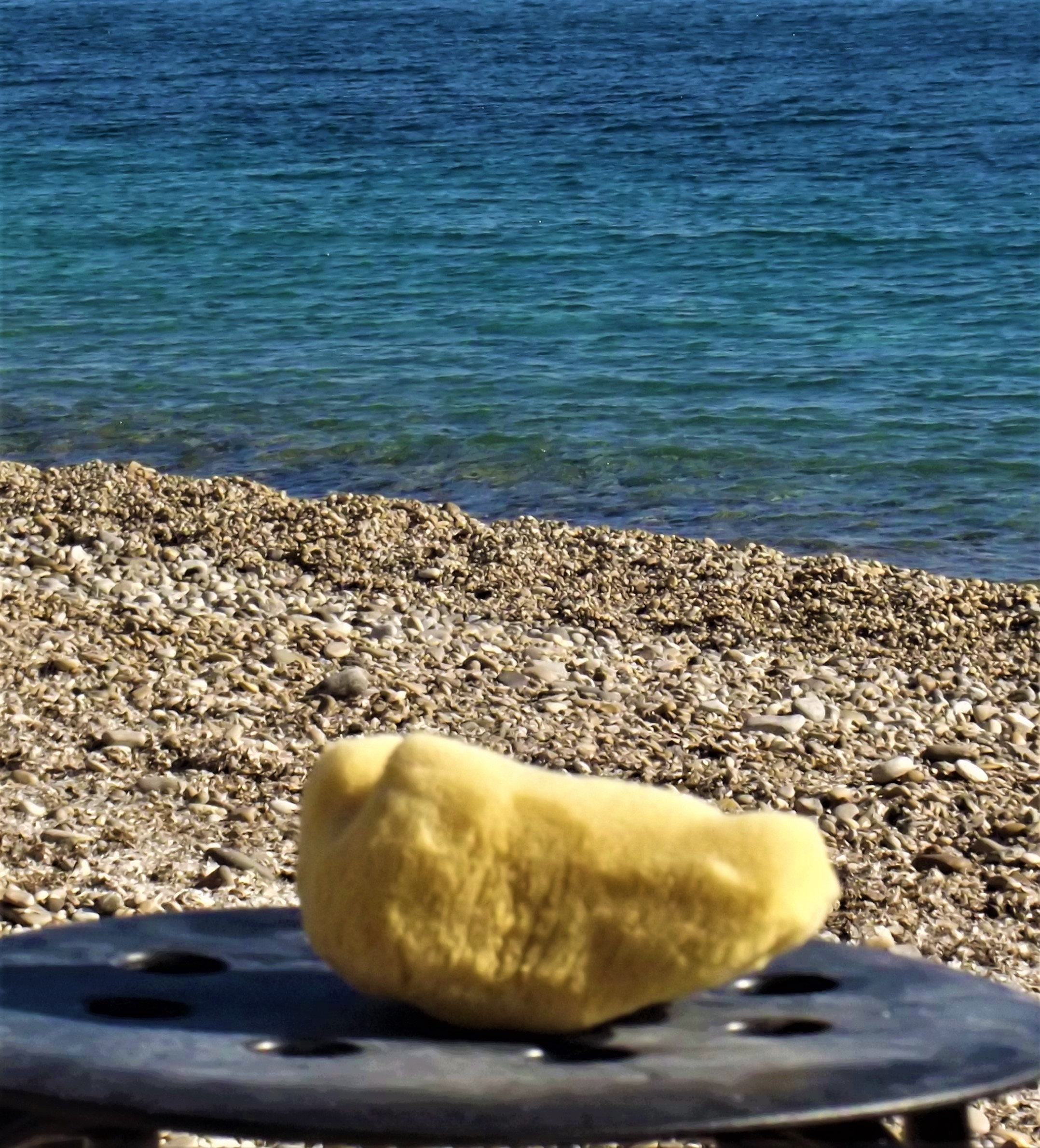100% Natural Fine Silk Sponge From Greek Seas Yellow Colour - Etsy ...