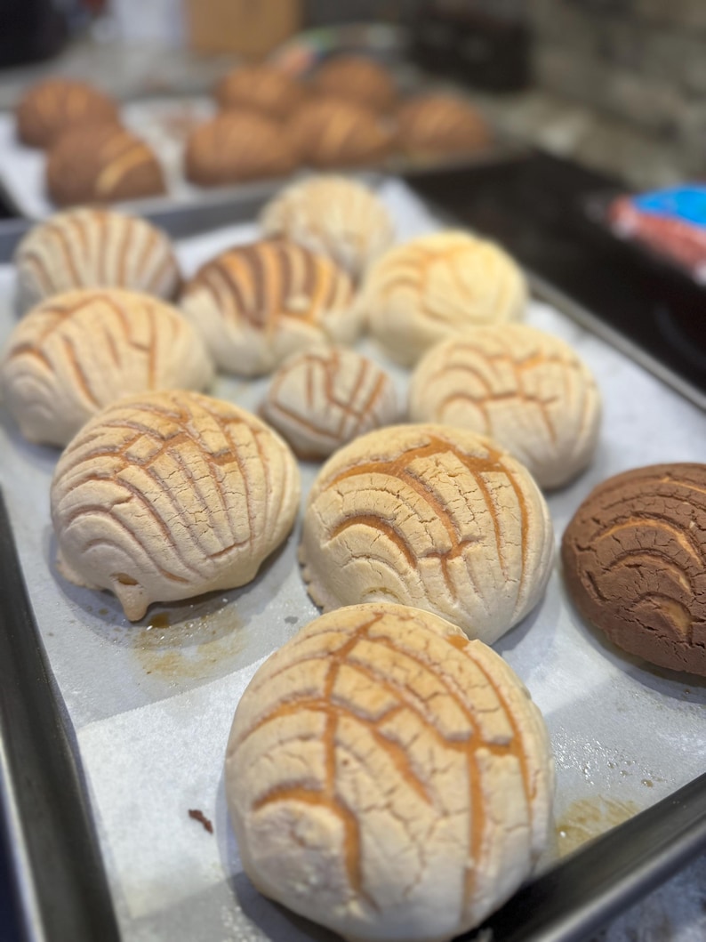 Concha Recipe the Most Flavorful Soft Mexican Sweet Bread - Etsy