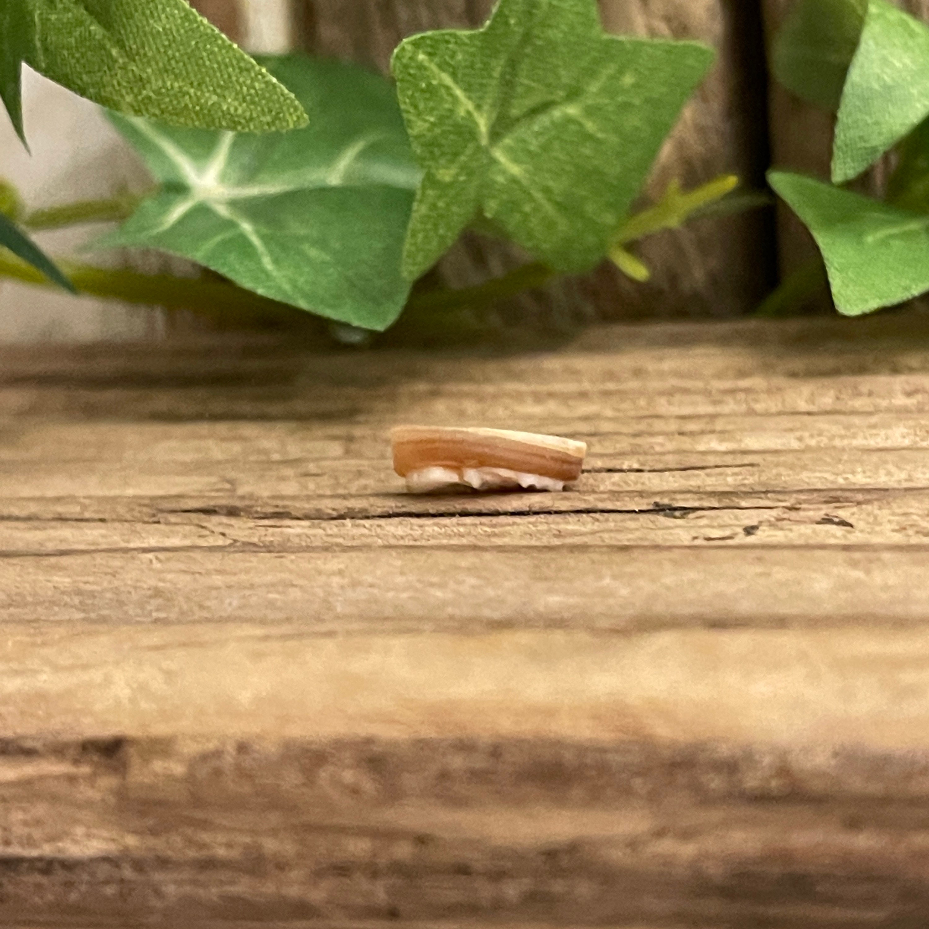 Genuine Vintage Loose Shell Cameo | Old Loose C.1920s English Pendant ...