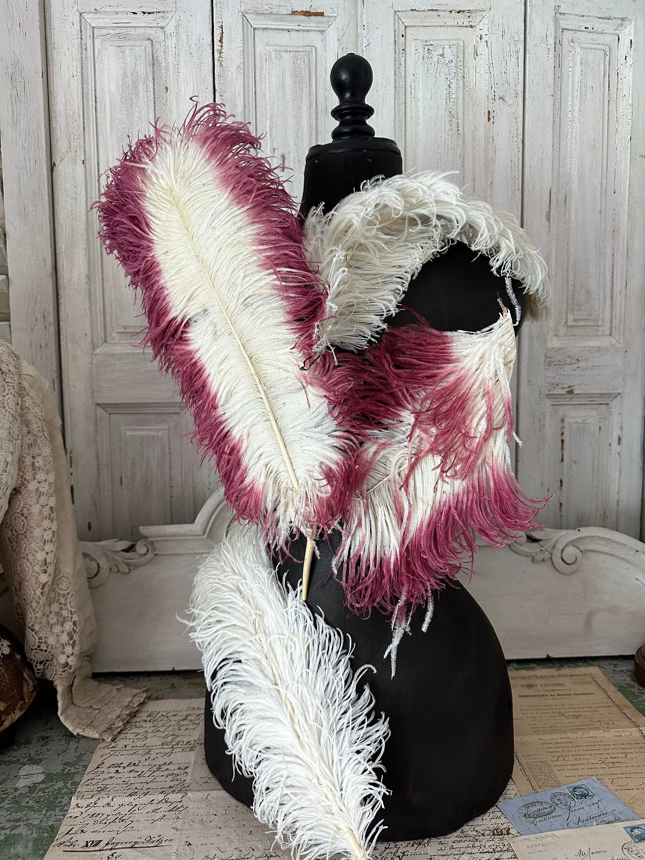 Feather Hat Plumes