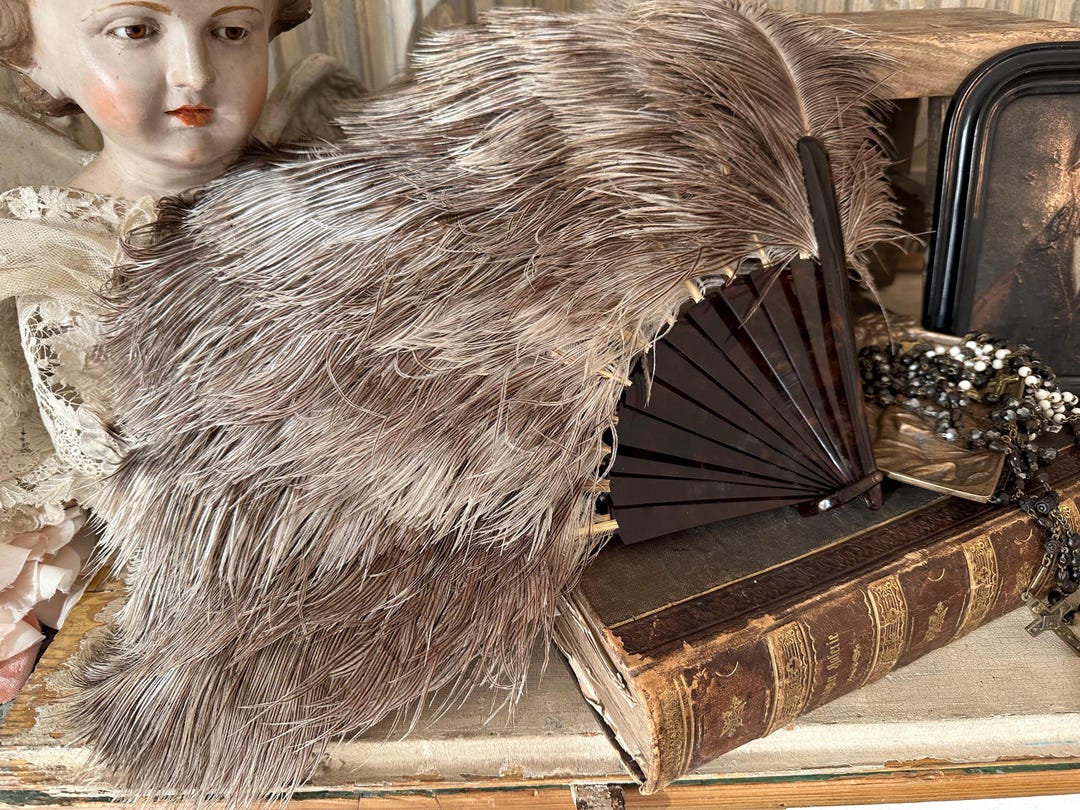 Antique 1900s Ostrich Feather Fan in Rare Color Restoration Object Fans ...