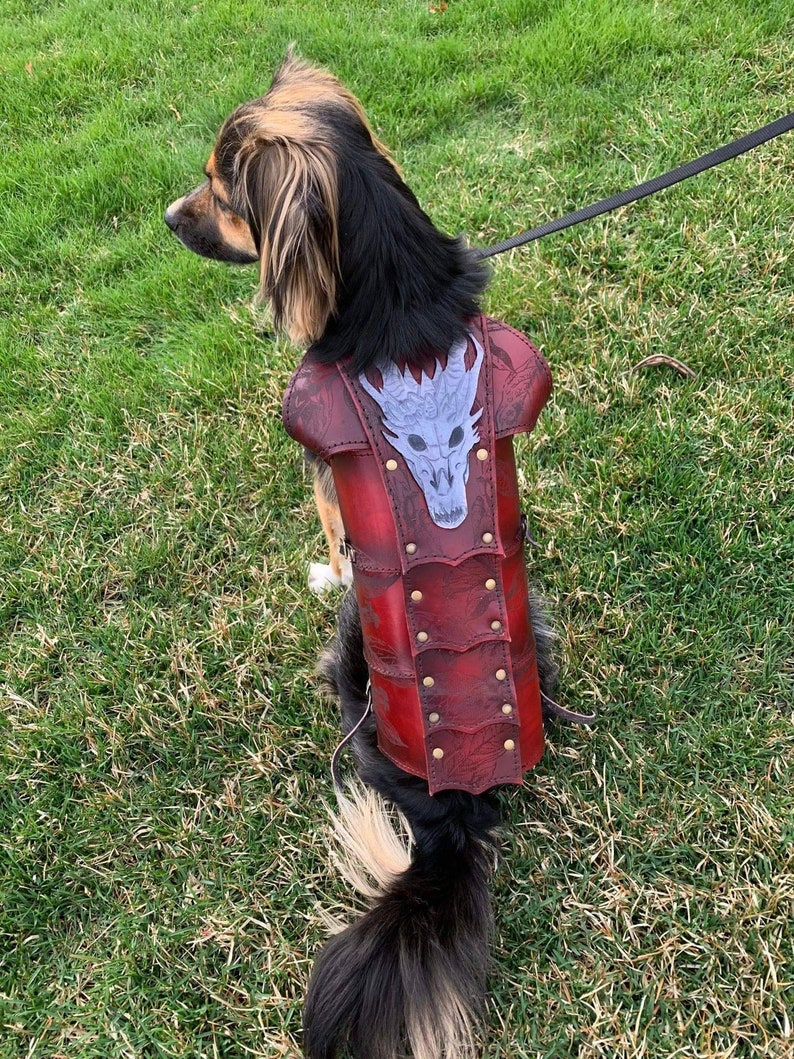 Custom Leather dog armor barding deposit | Etsy