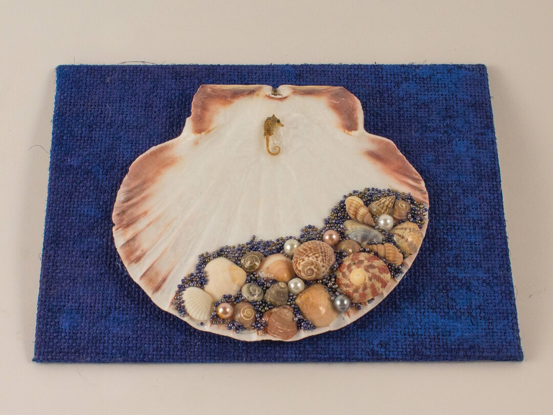 Seashell Art - Etsy