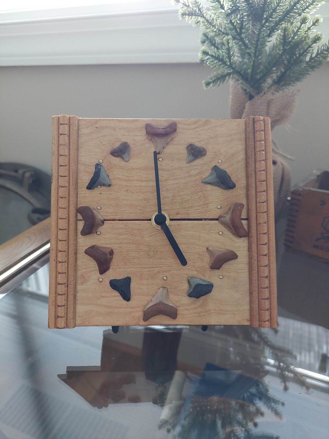 Fossilized Juvenile Megalodon Shark Tooth Clock on Birch Wood Face - Etsy