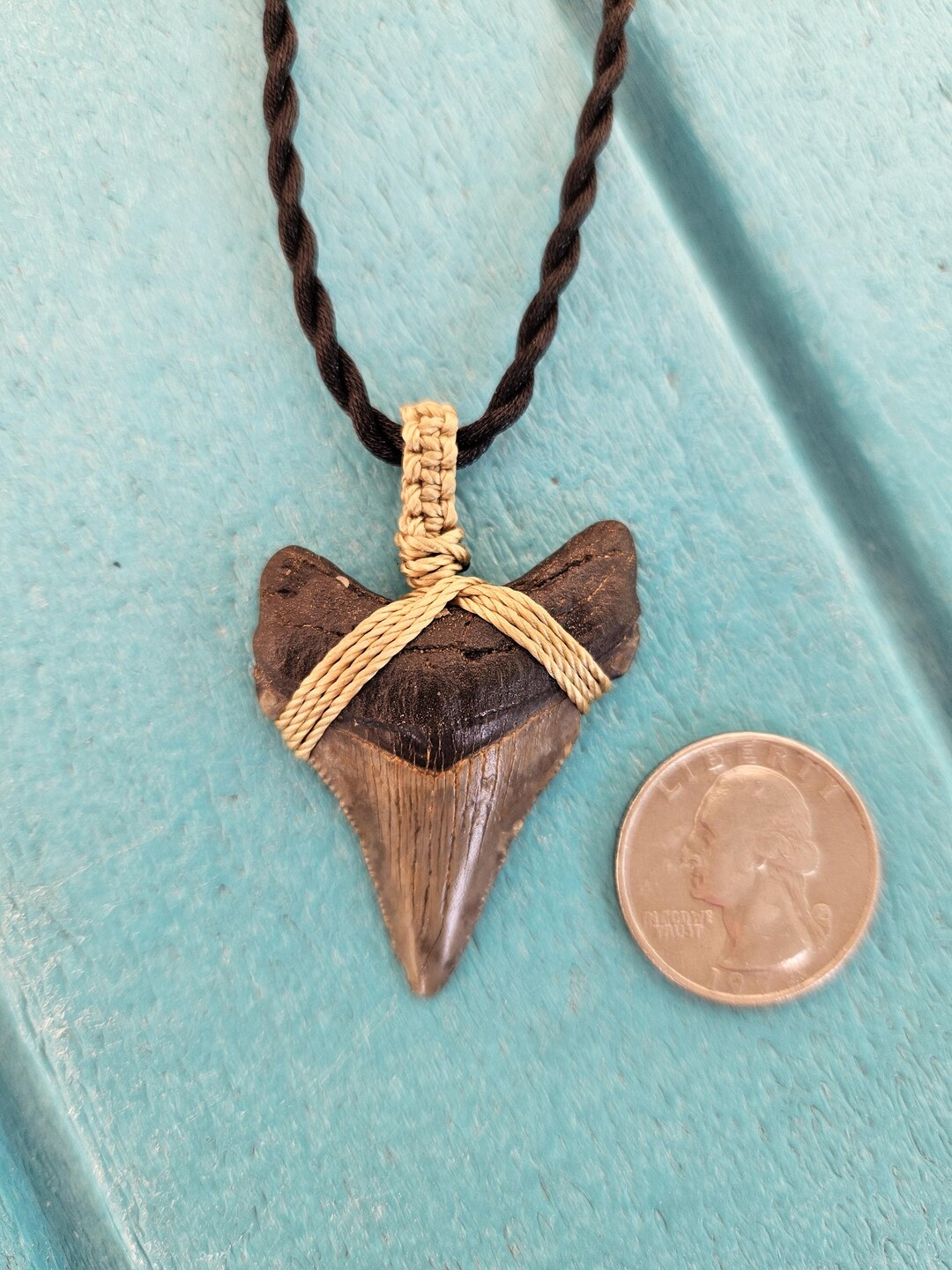 1.80 Megalodon Shark Tooth Fossil Cord-wrapped Necklace - Etsy