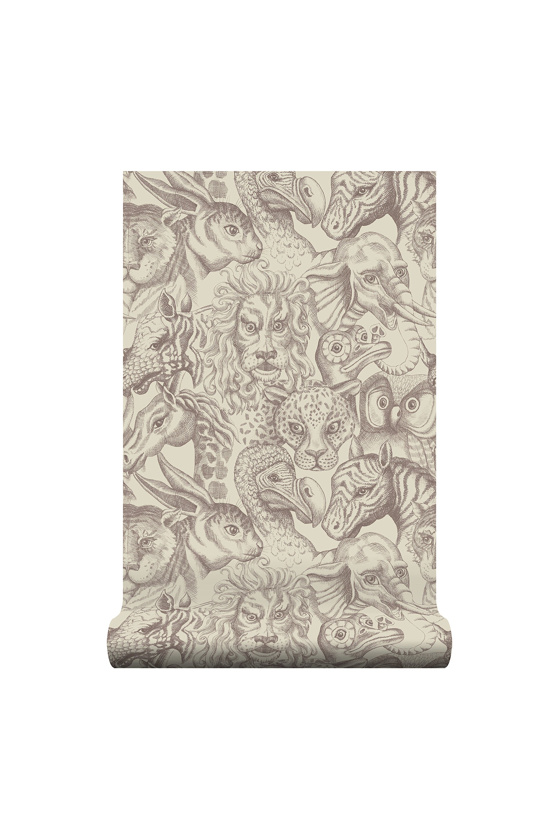 Rara off White Wallpaper *A4 SAMPLE* - Etsy
