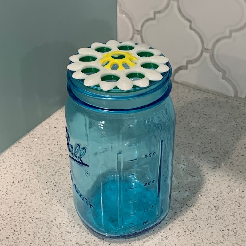 Mason Jar Frog Lid - Etsy