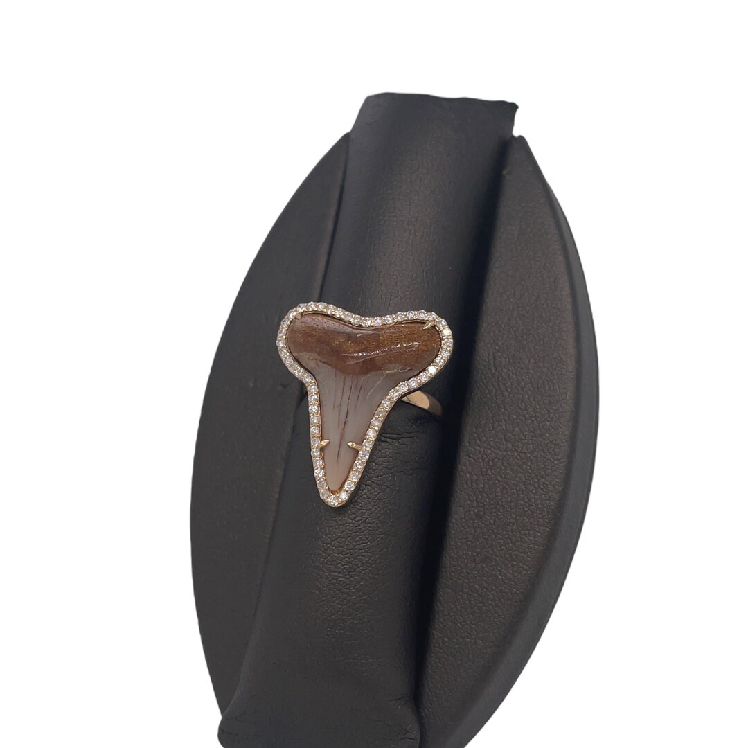 18K Yellow Gold Diamond Fossilized Sharks Tooth Ring, Diamonds, One of ...