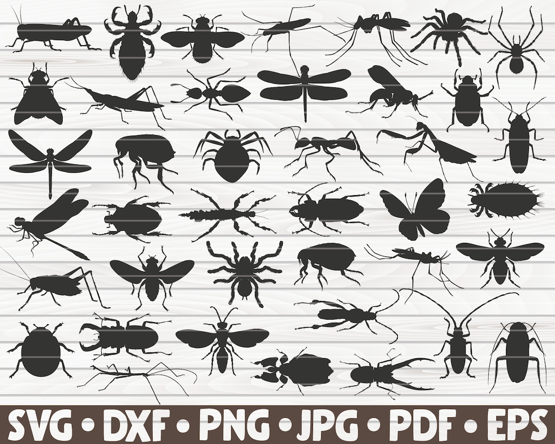 40 Insects Silhouettes / Cut File / Cliparts / Printable / Vectors ...