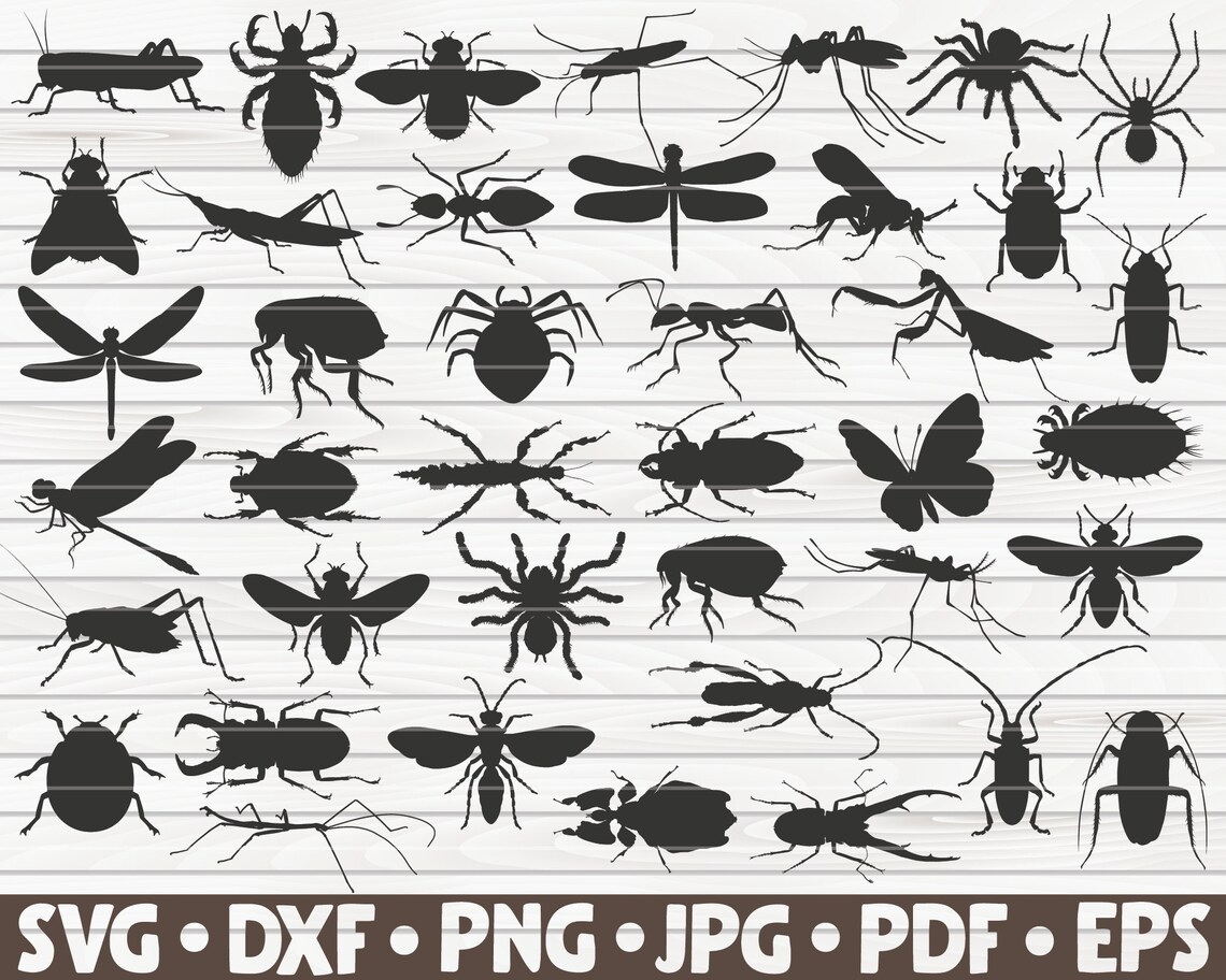 40 Insects Silhouettes Cut File Cliparts Printable - Etsy