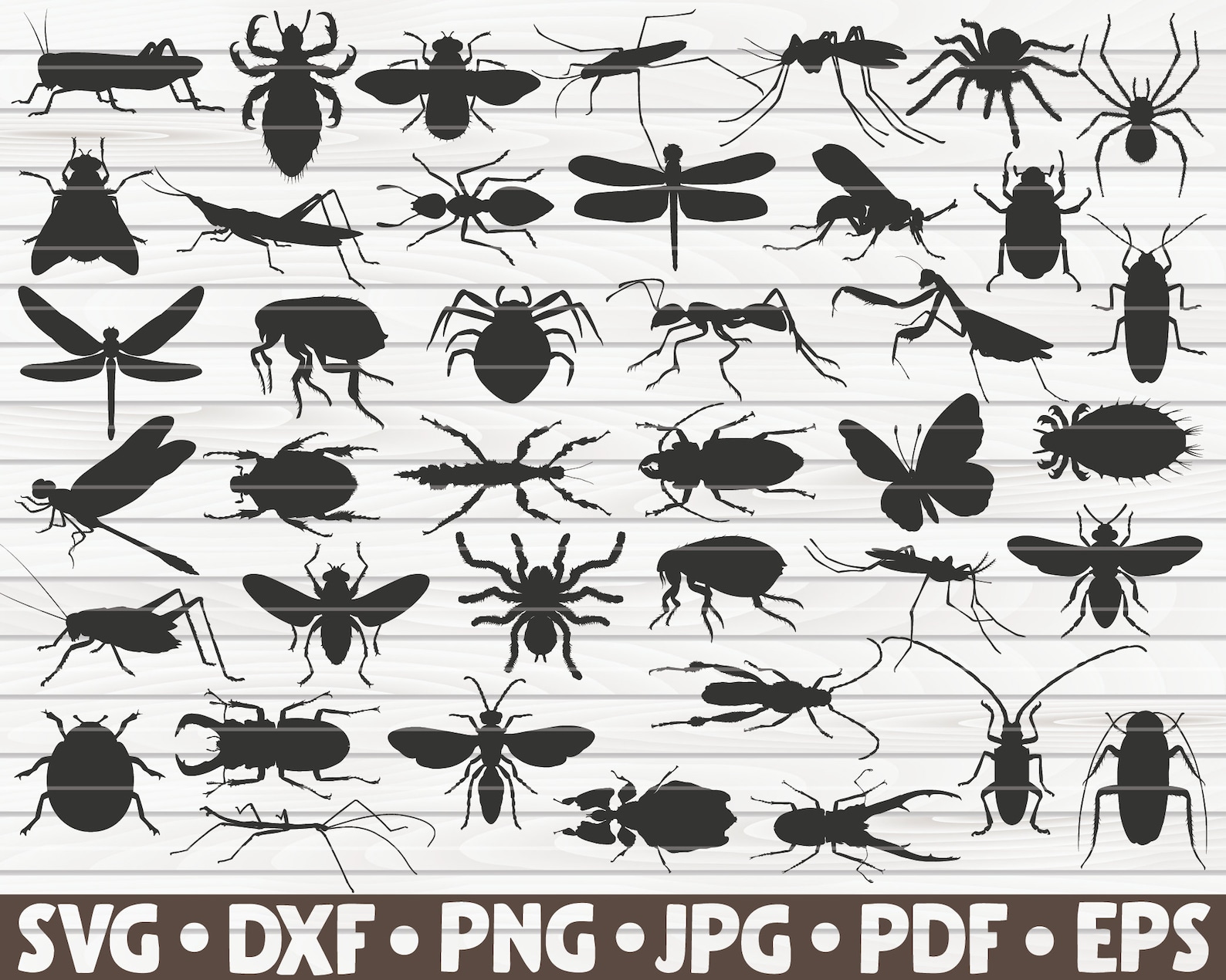 40 Insects Silhouettes Cut File Cliparts Printable - Etsy