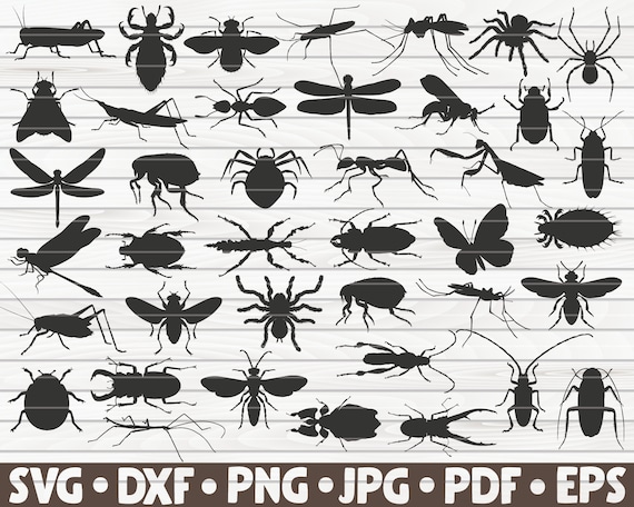 40 Insects Silhouettes Cut File Cliparts Printable | Etsy