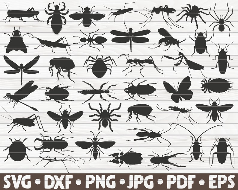40 Insects Silhouettes Cut File Cliparts Printable - Etsy