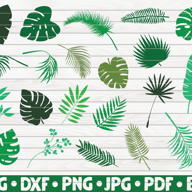Tropical Leaf Decals - Etsy