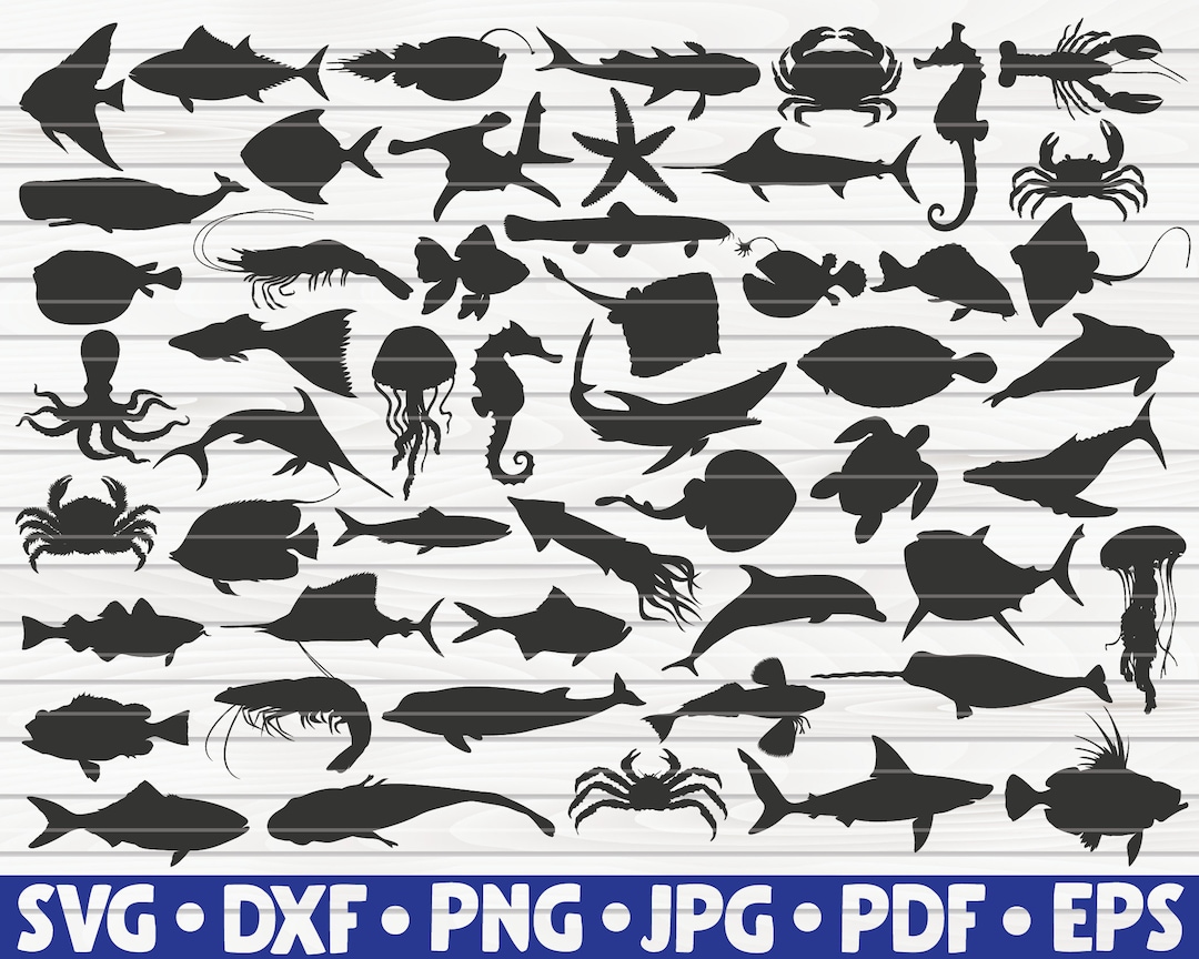 52 Ocean Animals Silhouettes / Free Commercial Use / Cut Files for ...