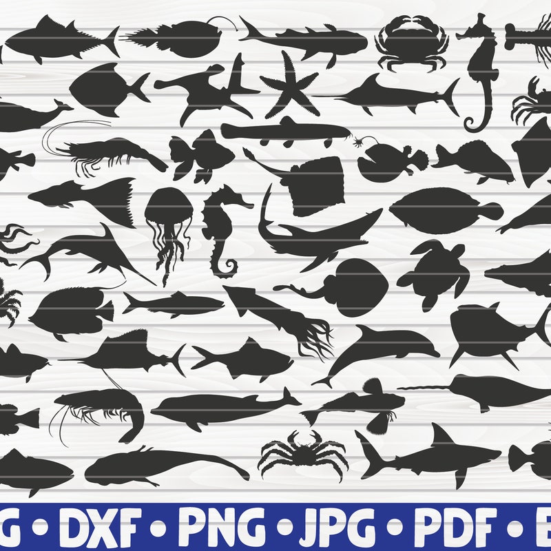 Ocean Animals Svg - Etsy