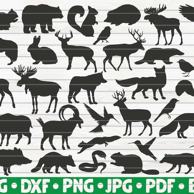 Woodland Animals Svg - Etsy