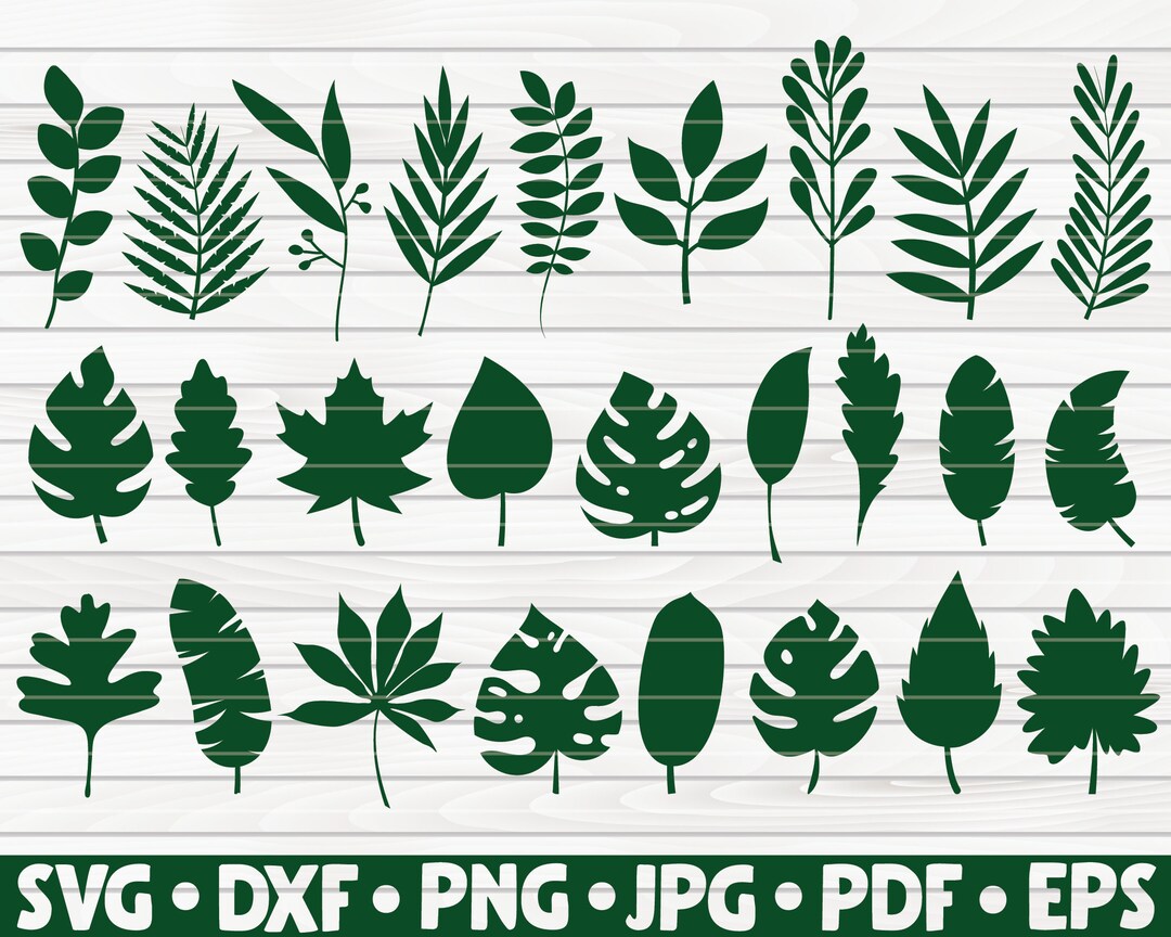 26 Paper Leaves Bundle SVG / Cut File / Clipart / Printable / Vector ...