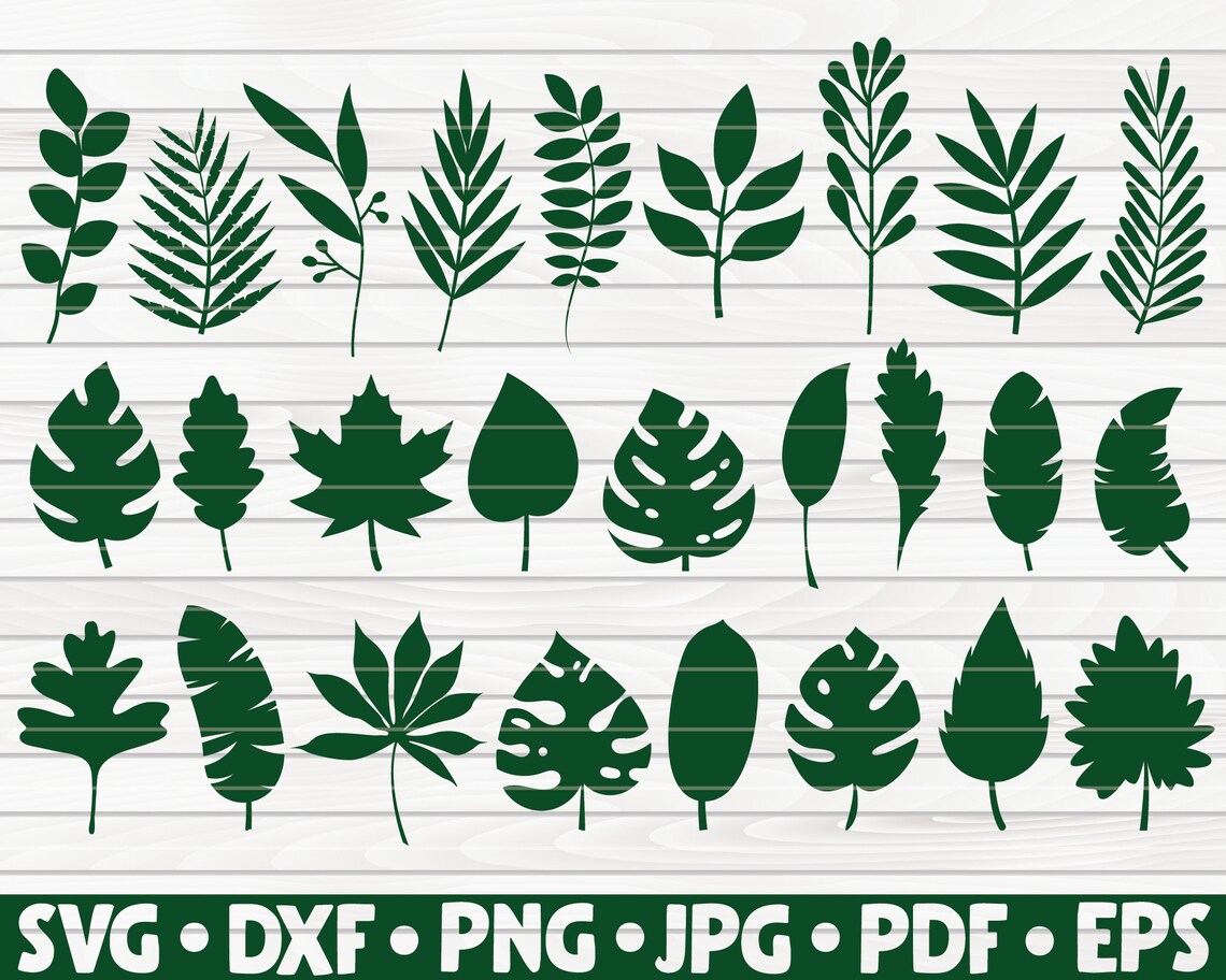 26 Paper Leaves Bundle SVG Cut File Clipart Printable - Etsy