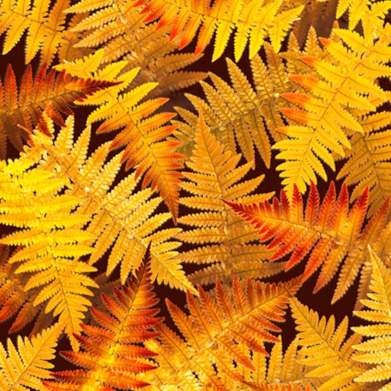 Open Air Ferns Amber 1649 28105S - Etsy
