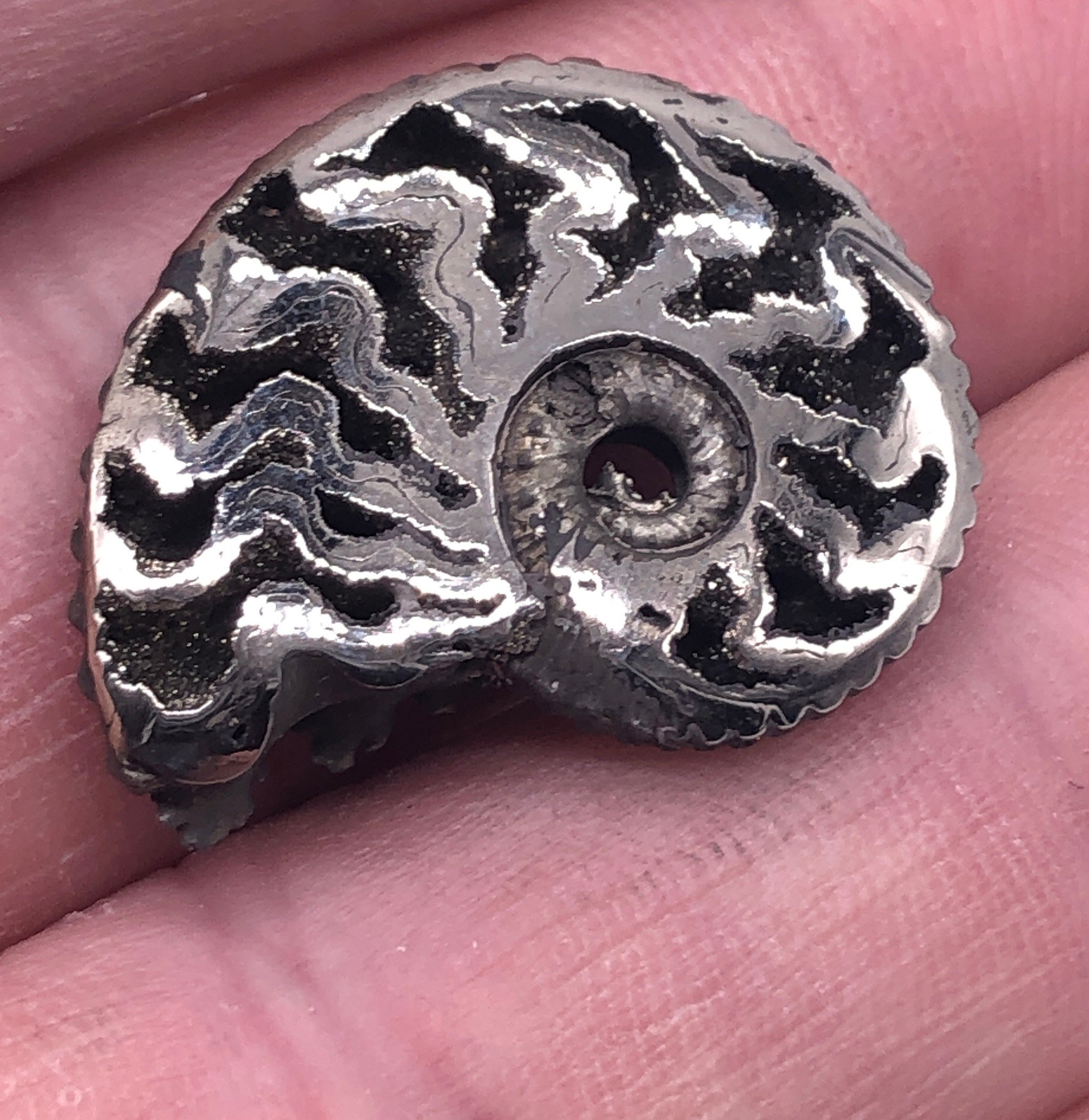 Cobble Creek: Polished Pyritized Ammonite from Mikhailovsky Quarry ...