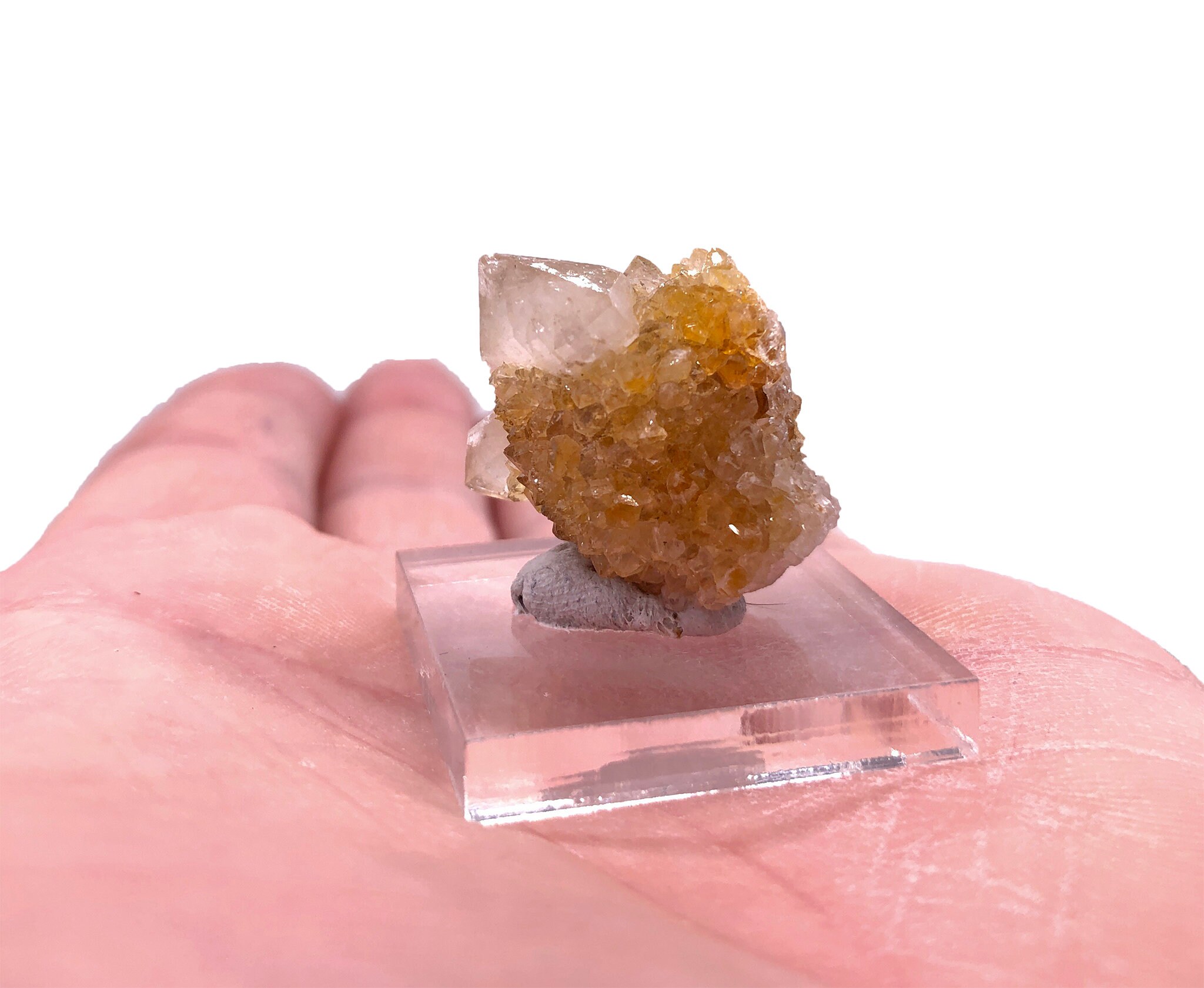 Cobble Creek: Small Beautiful Deep Citrine Spirit Cactus Quartz Cluster ...