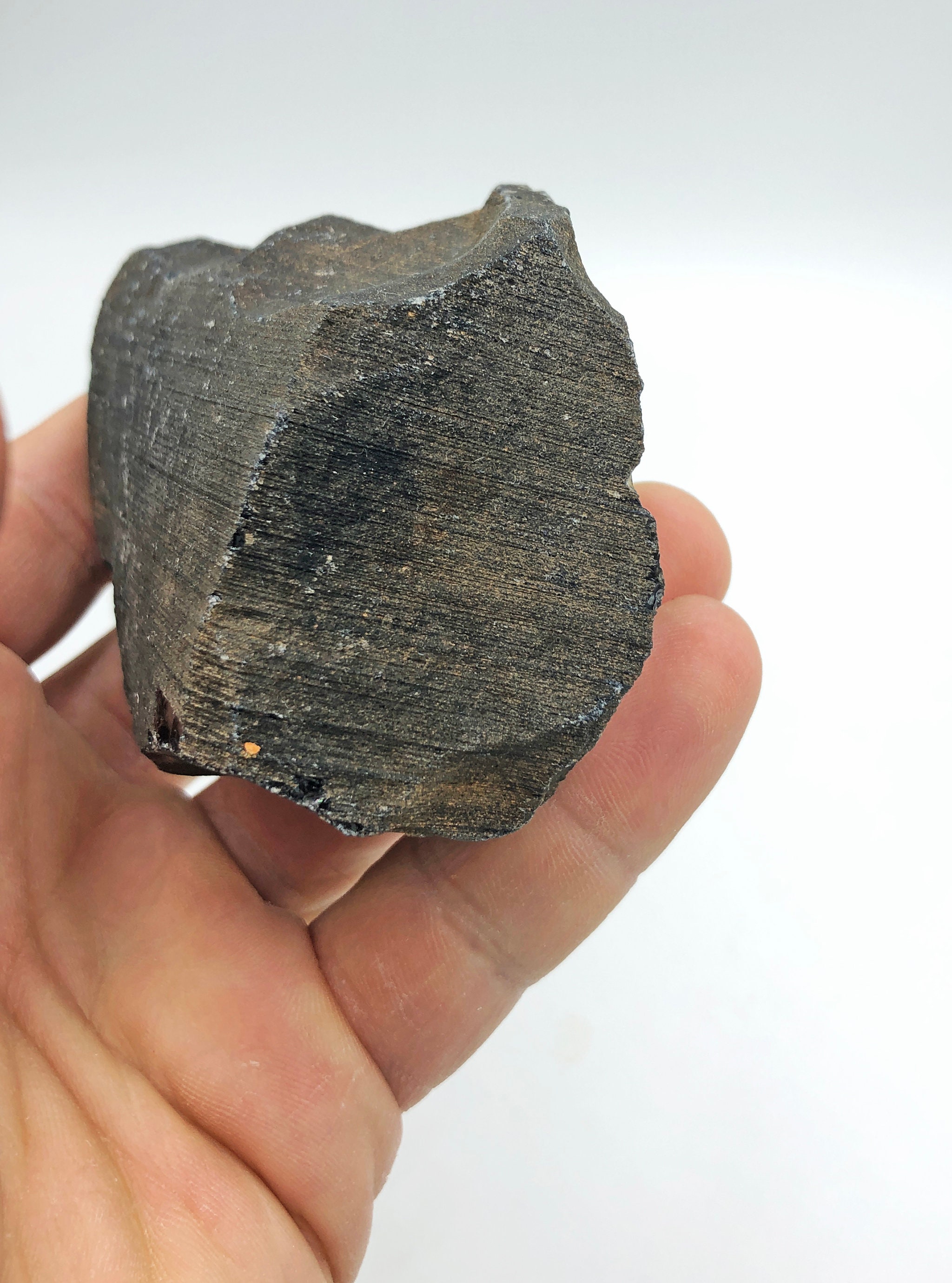 Cobble Creek: Chunk of Obsidian Raw Rough Natural from Mexico