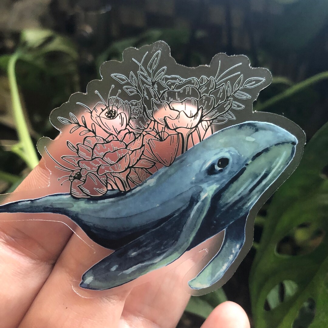 Blue Whale "clear" Vinyl Sticker - Etsy