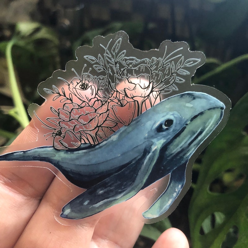 Whale Sticker - Etsy