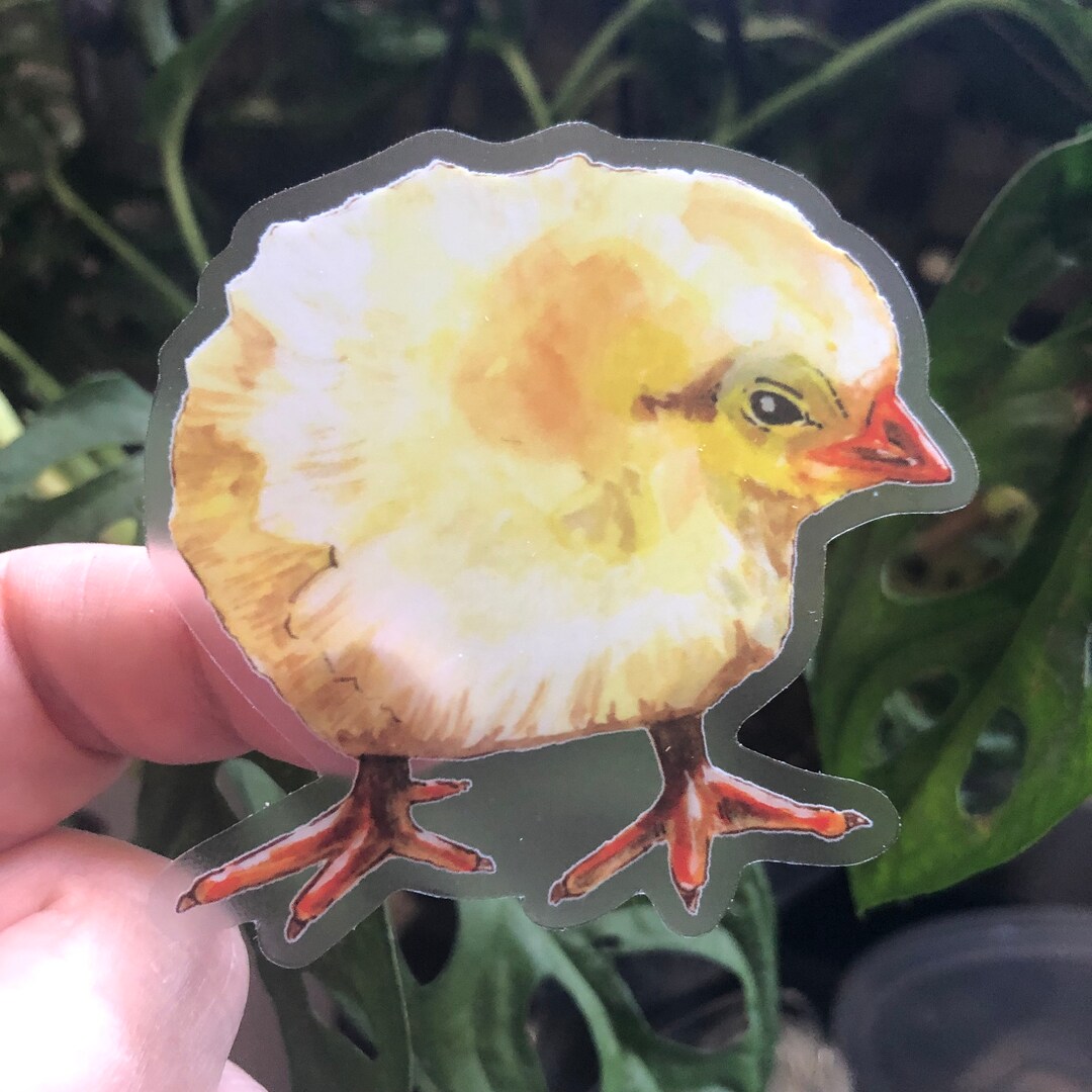 Baby Chick Sticker | Matte Clear Vinyl - Etsy
