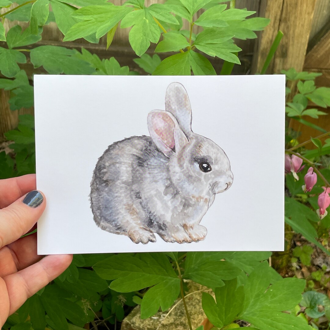 Baby Bunny Art Print, 5x7 Inches - Etsy
