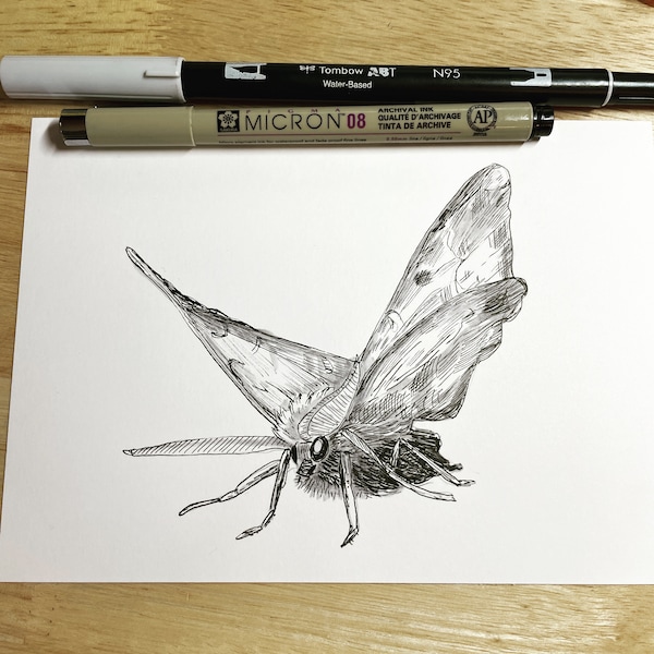 Pen Ink Drawing - Etsy