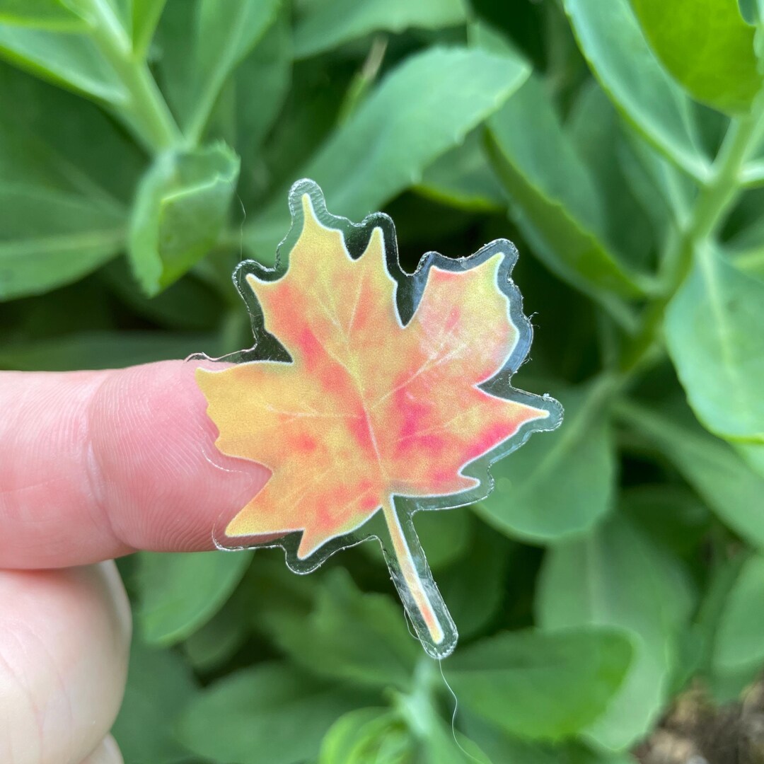 Mini Maple Leaf Sticker, Waterproof Vinyl Decal - Etsy