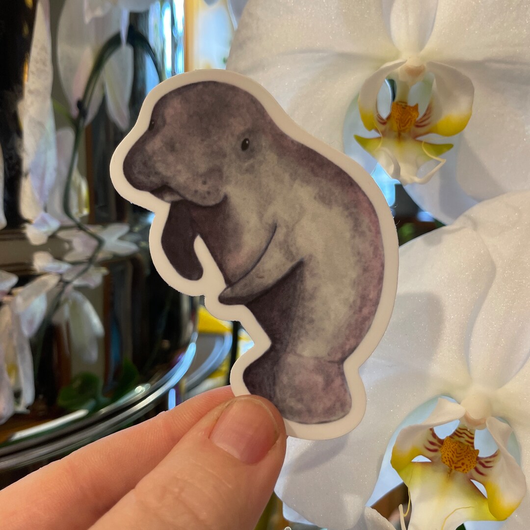 Manatee Vinyl Waterproof Sticker - Etsy