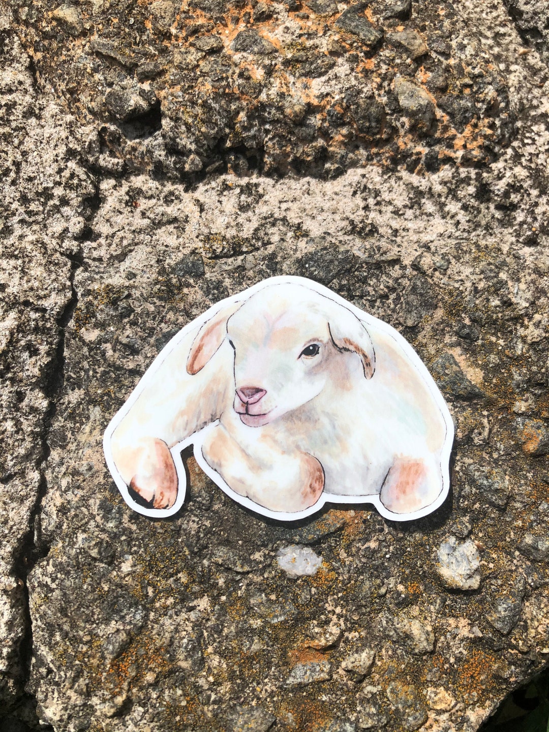 Baby Lamb, Vinyl Waterproof Sticker - Etsy