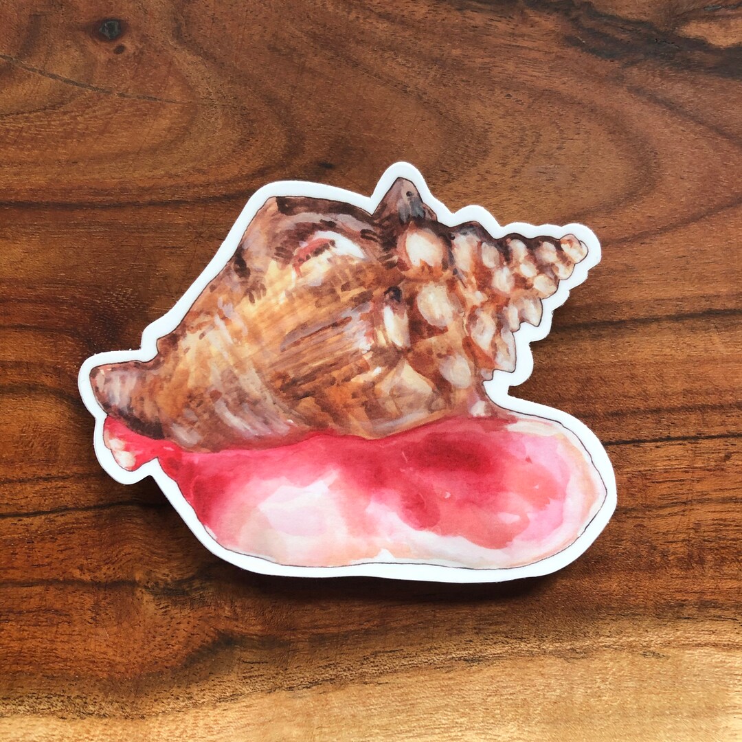 Conch Shell | White Matte Vinyl - Etsy